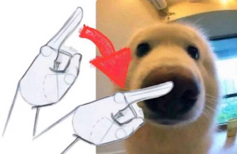Boop The Coin